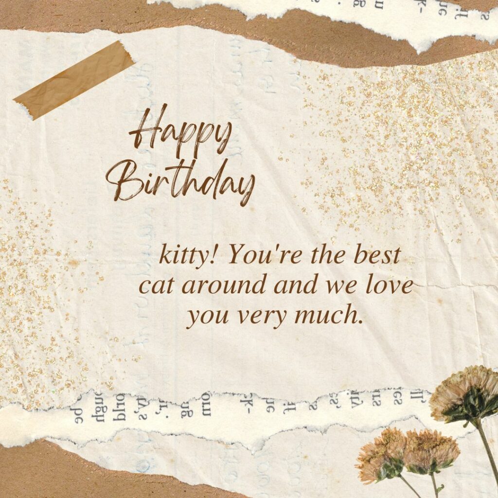 Birthday Wishes for Cats