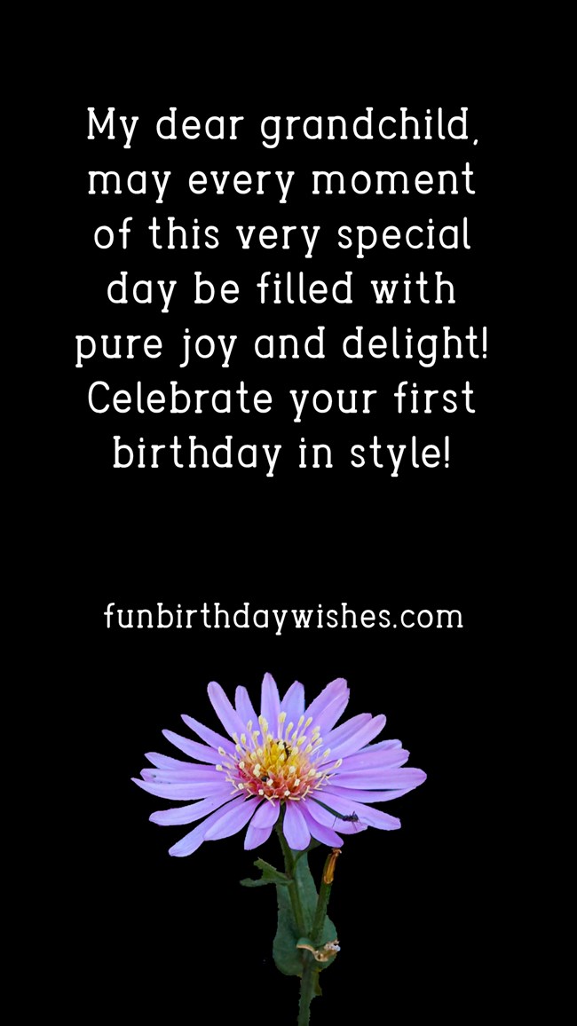 1st Birthday Wishes for Grandson