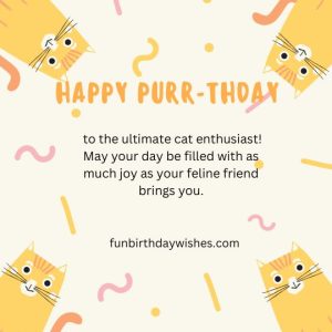Happy Birthday Wishes For Cat Lovers