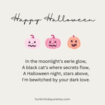 Black Cat Halloween Poem